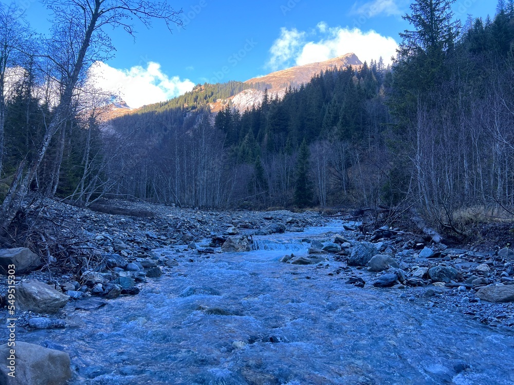 The upper part of the course of the alpine river Tamina in the ...