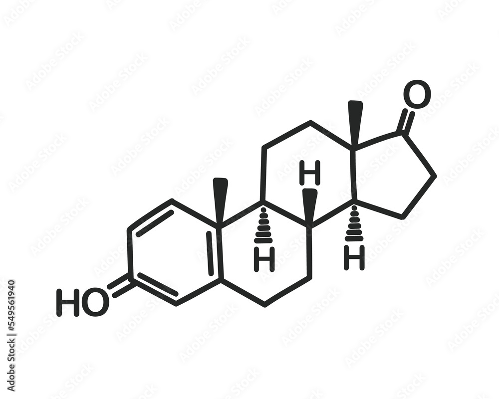 Structural chemical formula of estrone Stock Illustration | Adobe Stock