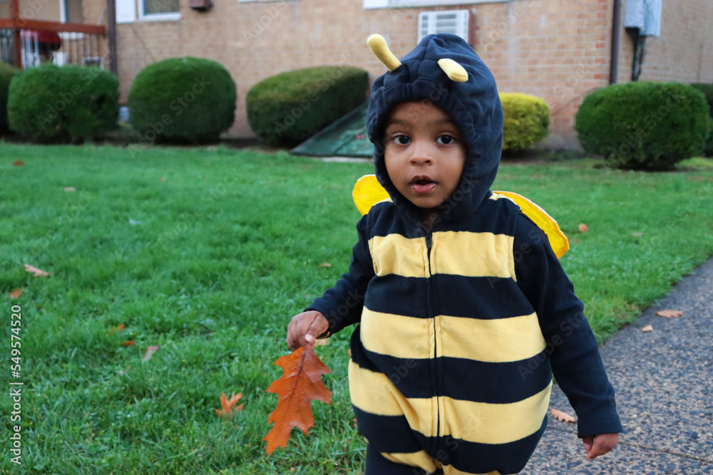 Cute baby boy in bumble bee costume with green background fall foliage ...