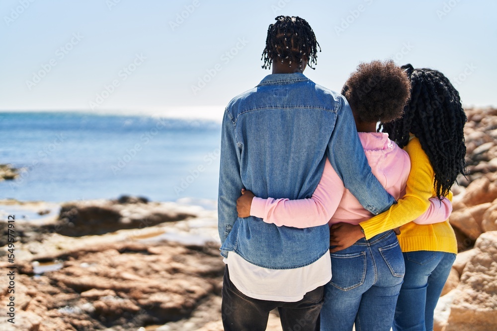 African american friends hugging each other on back view at seaside ...