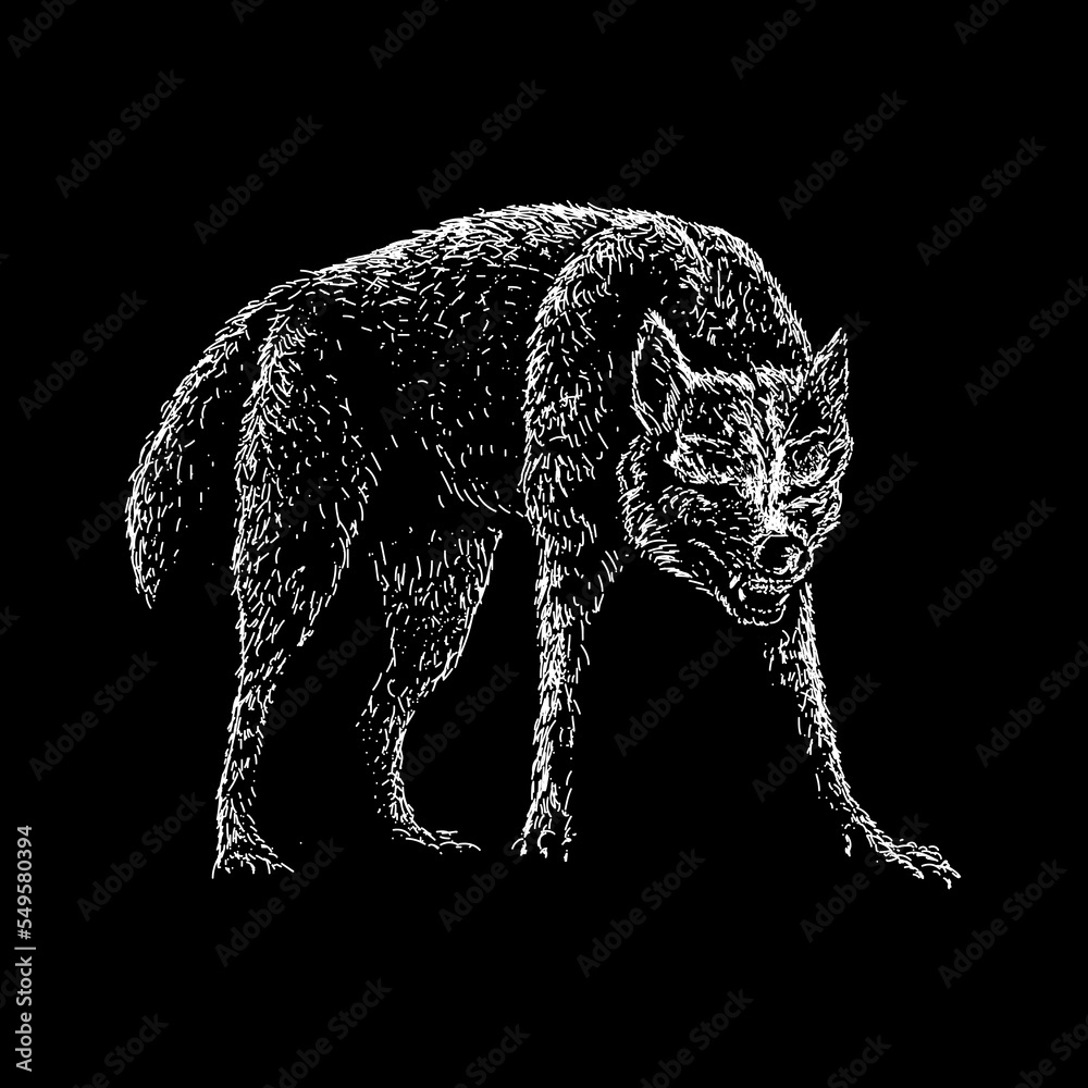 Northern Inuit Dog hand drawing vector isolated on black background ...