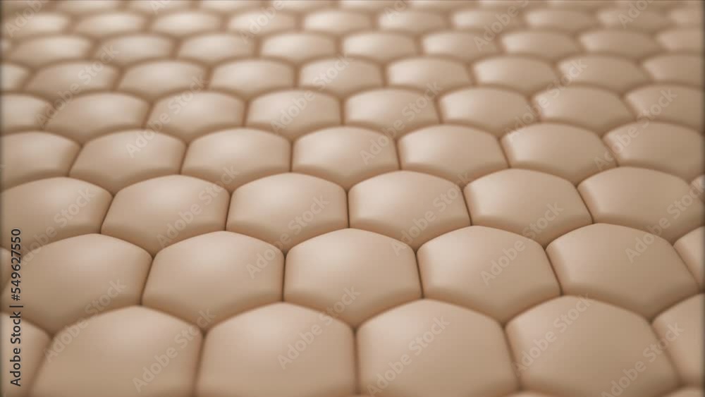 Restoration of the skin structure, rejuvenation, smoothing of wrinkles ...