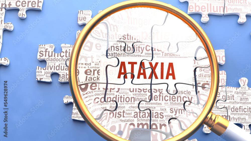 Ataxia as a complex and multipart topic under close inspection ...