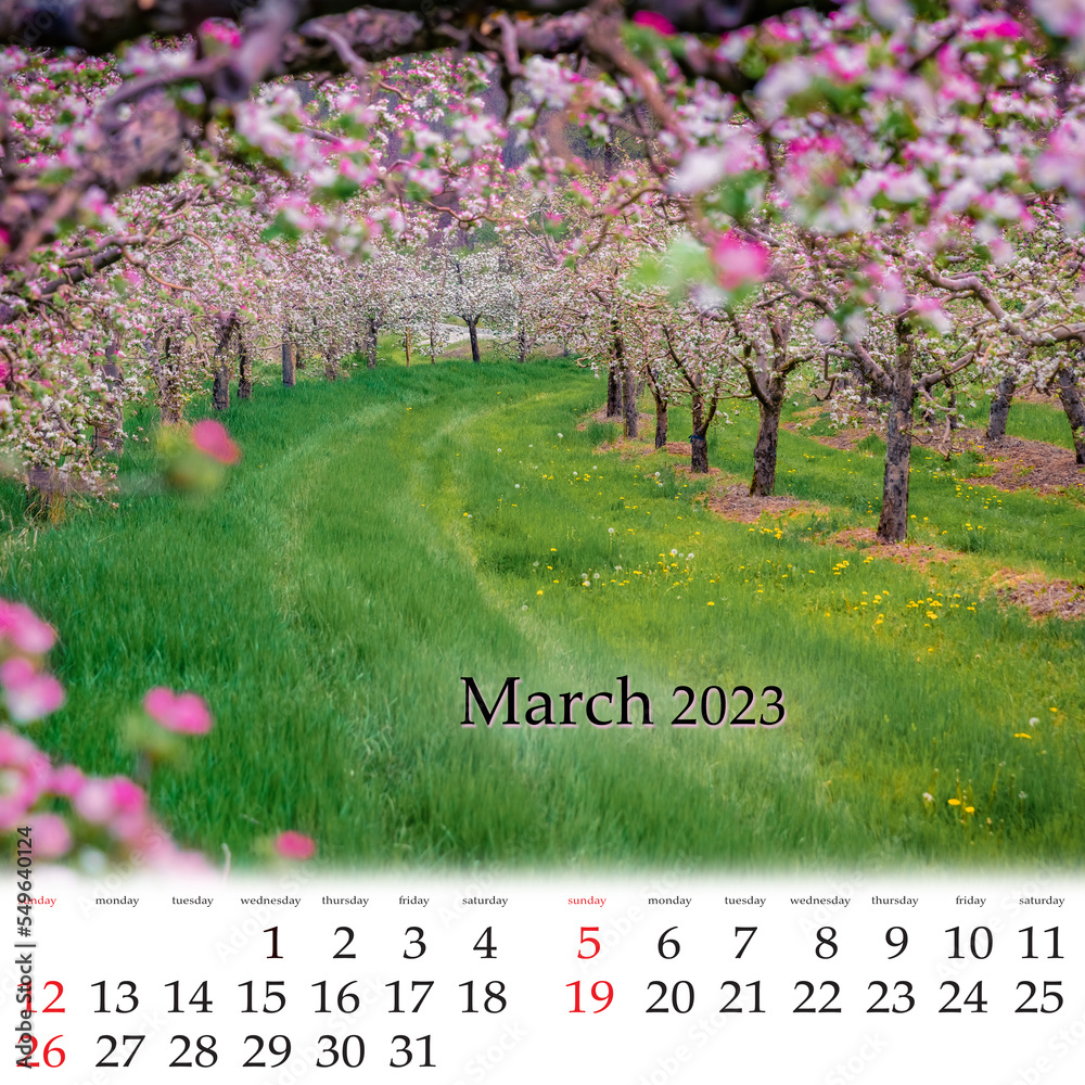 Square wall monthly calendar ready for print, March 2023. Set of ...