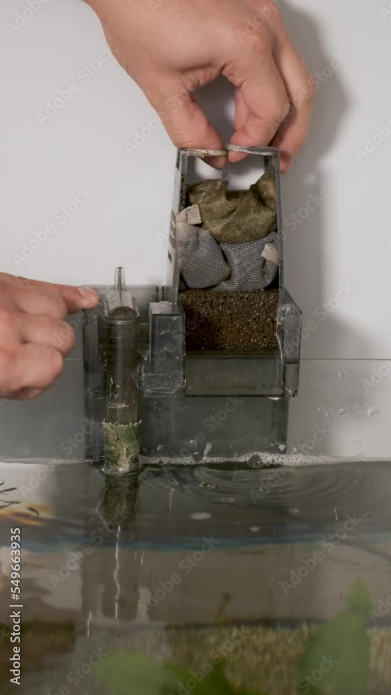 Close up of a hand disassembling a fish tank waterfall filter to clean ...