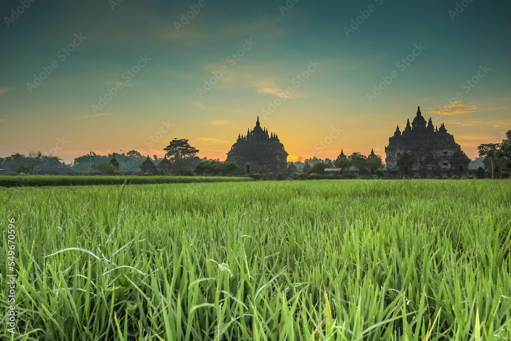 Landscape photo of Plaosan Lor Temple at dawn in Klaten, Central Java ...