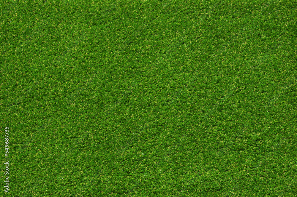 Green grass texture background Stock Photo | Adobe Stock