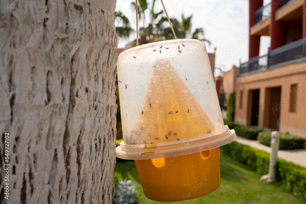 trap for insects like mosquitoes and flies in the southern resort Stock ...