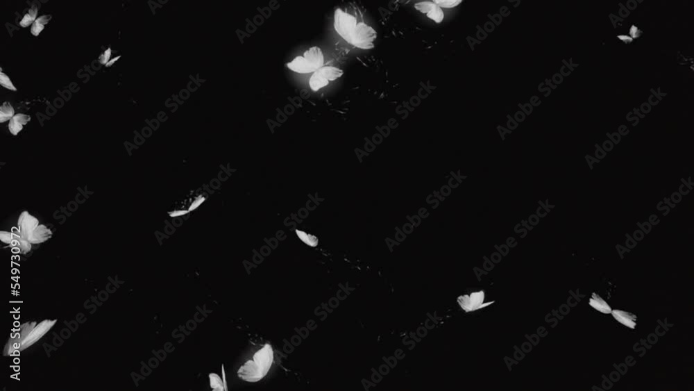 Animated butterflies fluttering, Monarch butterflies flying swarm for ...