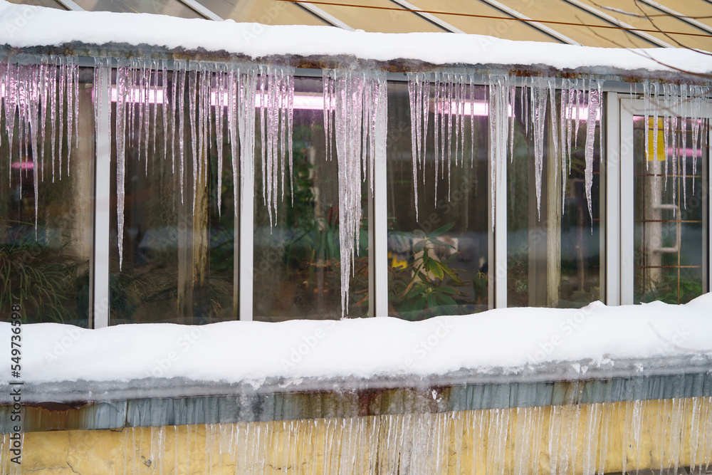 Melted snow on old greenhouse roof with hanging icicles formed during freeze and thaw cycles ...