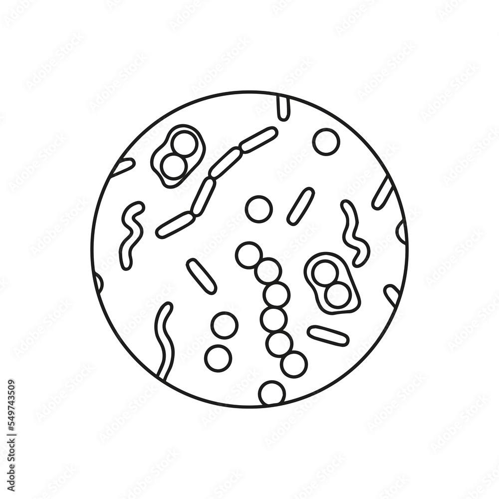 Sample of oral bacteria, view through a microscope. A Human mouth virus ...