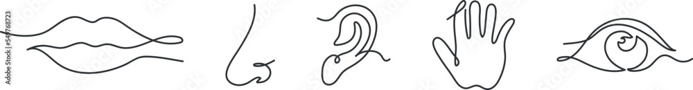 One line five human senses icon. Lips, nose, hear, touch, eye on drawn ...