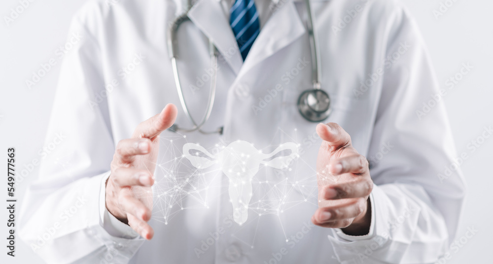 doctor in a white coat holding virtual uterus reproductive system ...