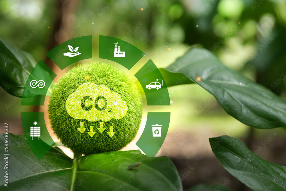 Sustainable development and business based on renewable energy. Reduce ...