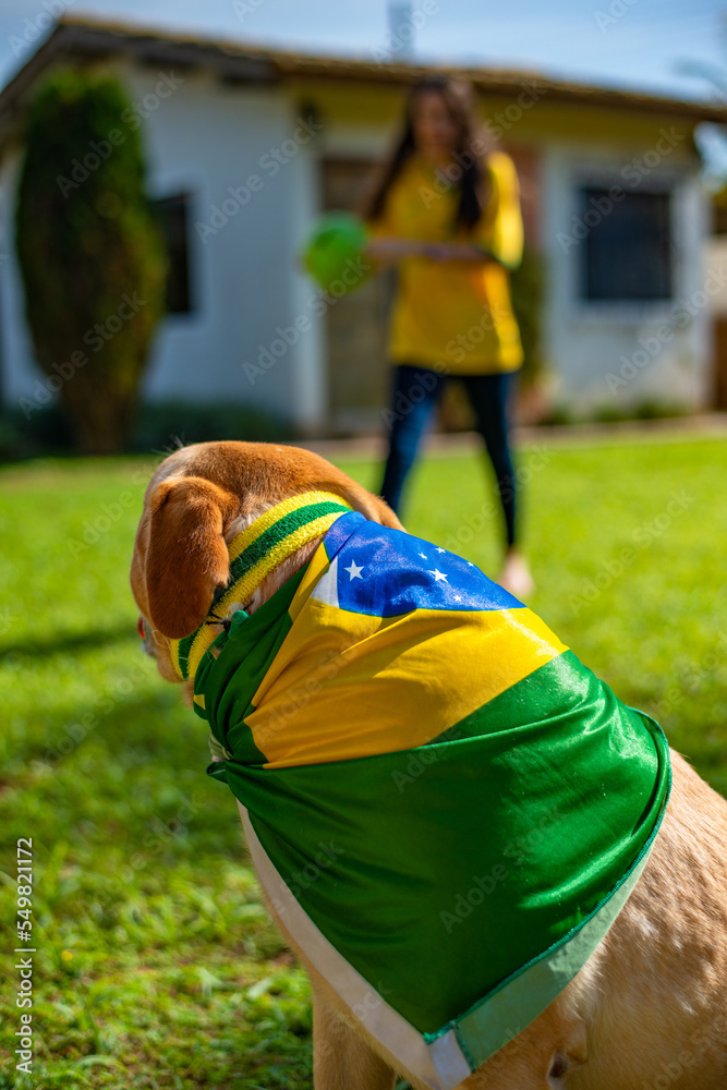 Labrador dog with the flag of Brazil and cheerleader cheering for the ...