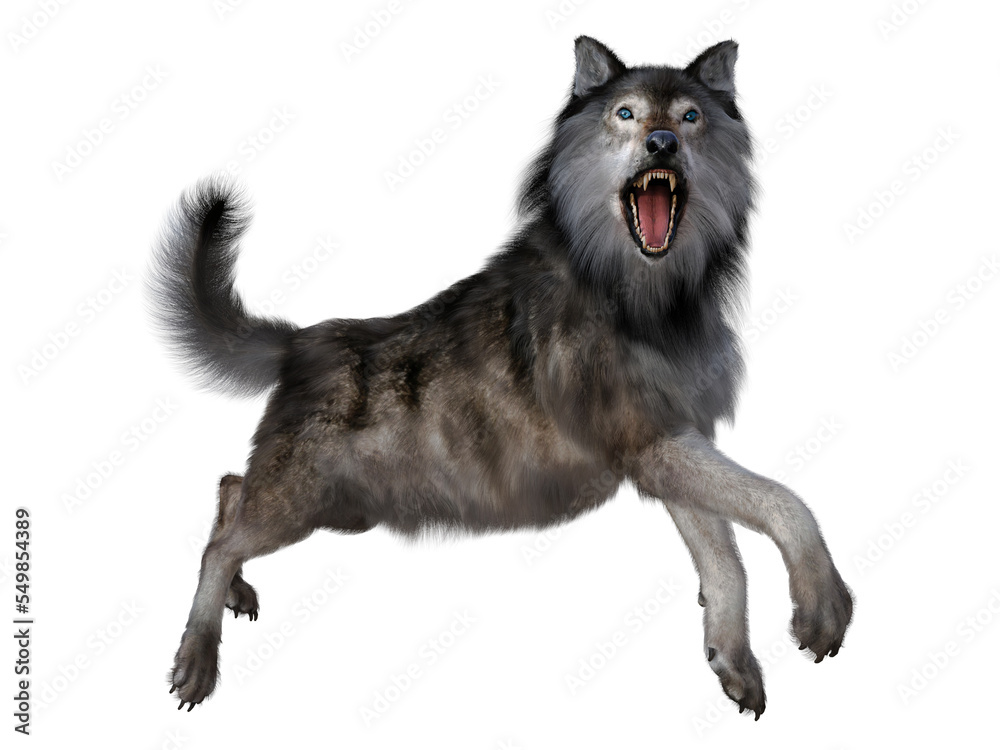 Dire Wolf Leaping - The carnivorous Dire Wolf lived in North and South ...