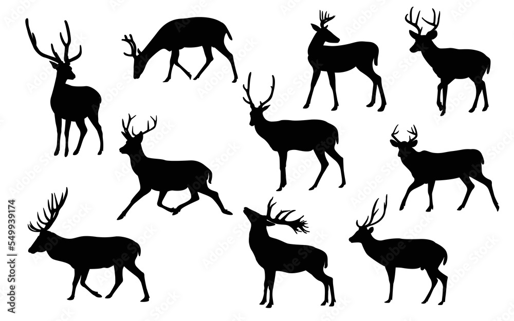Collection of deer silhouettes - deer family. Deer in various poses ...