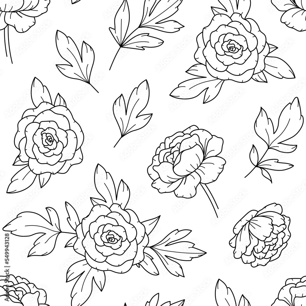 Peony flower seamless pattern drawing. Vector hand drawn floral ...