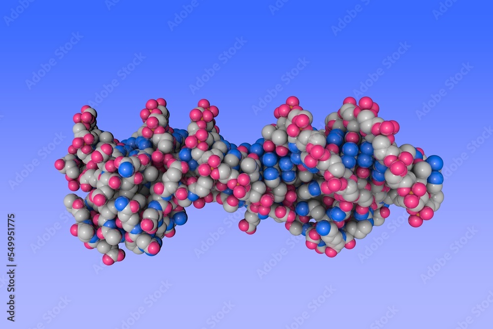 DNA-binding domain of human SETMAR in complex with Hsmar1 terminal ...