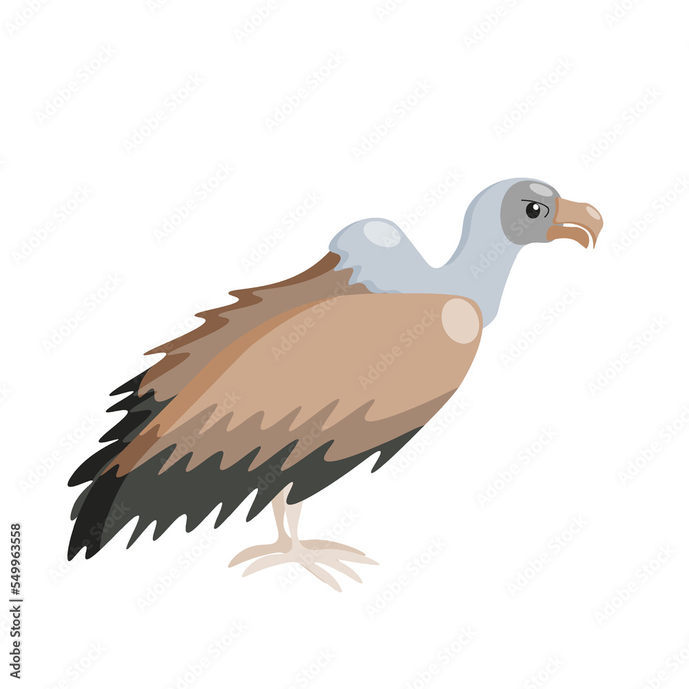 Cartoon vulture character on white background, vector isolated. Stock ...