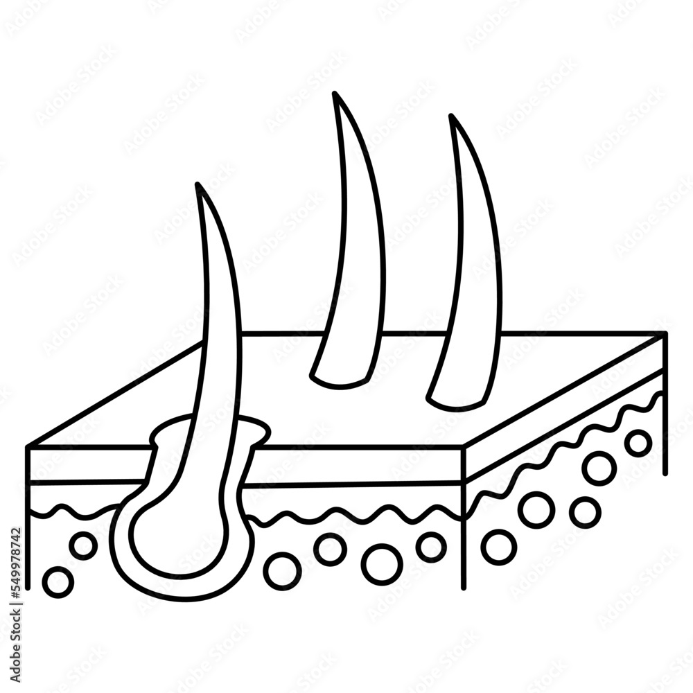 Simple minimal outline icon of the isometric section of human skin with ...