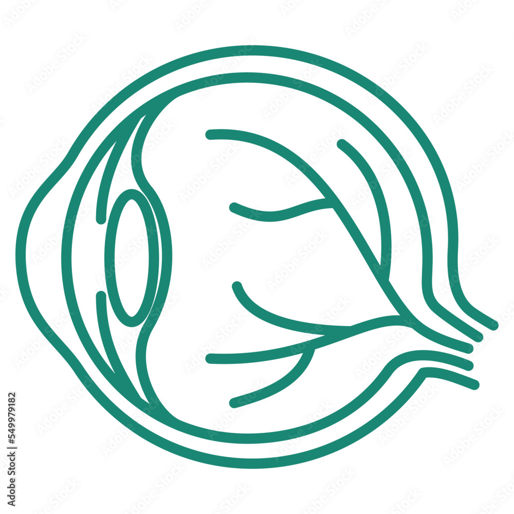 Simple outline modern turquoise schematic human eyeball cut icon ...