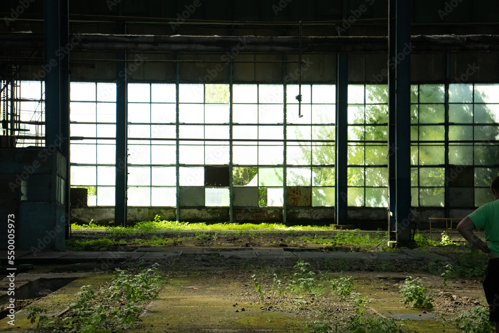 Nature growing from an old abandoned factory, plants rising from metal ...