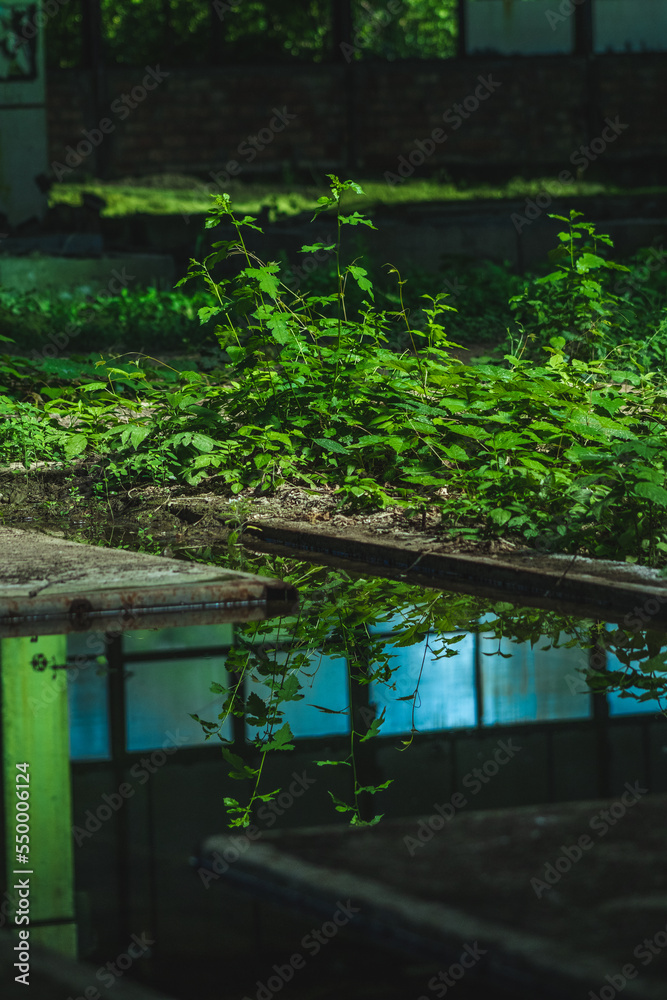 Nature growing from an old abandoned factory, plants rising from metal ...