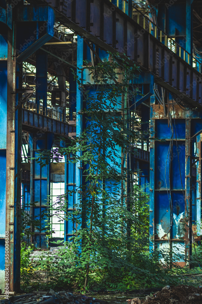 Nature growing from an old abandoned factory, plants rising from metal ...