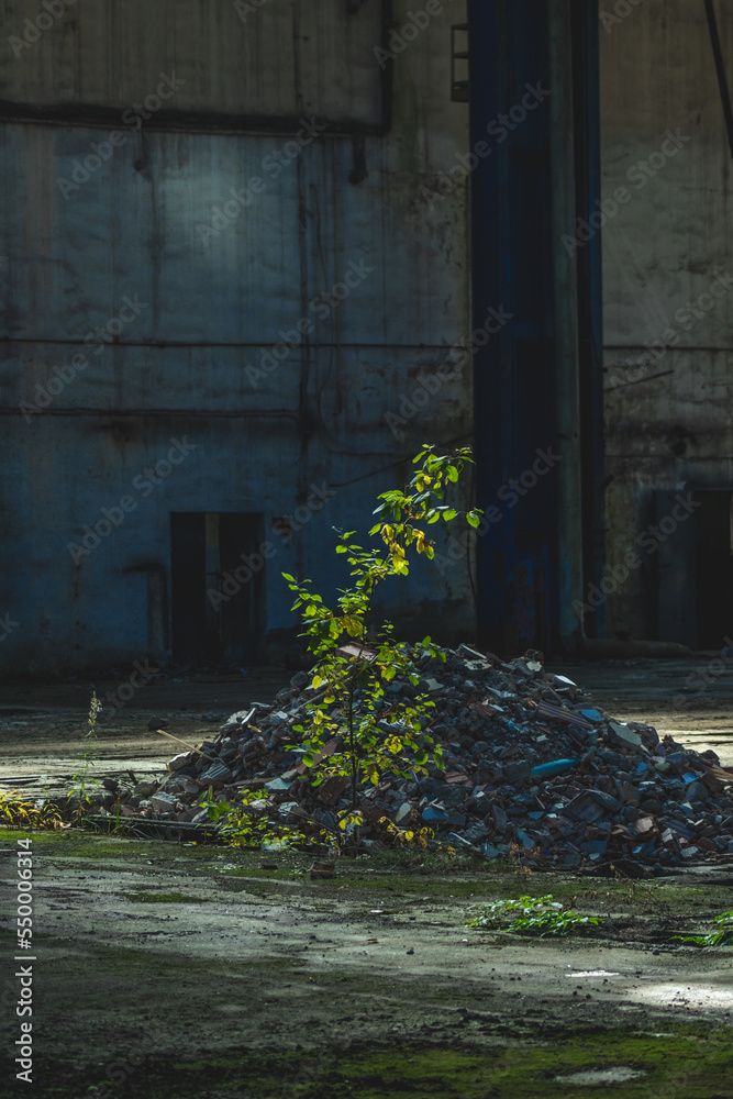 Nature growing from an old abandoned factory, plants rising from metal ...