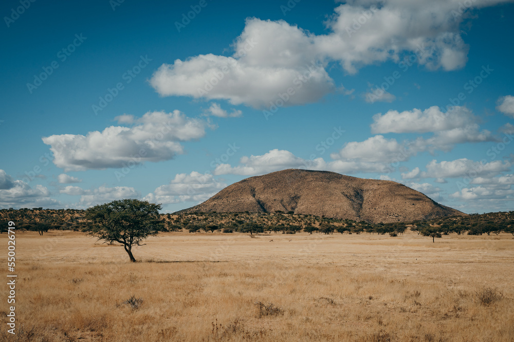 Panoramabild - Savanne im Koma Hochland, Namibia Stock Photo | Adobe Stock