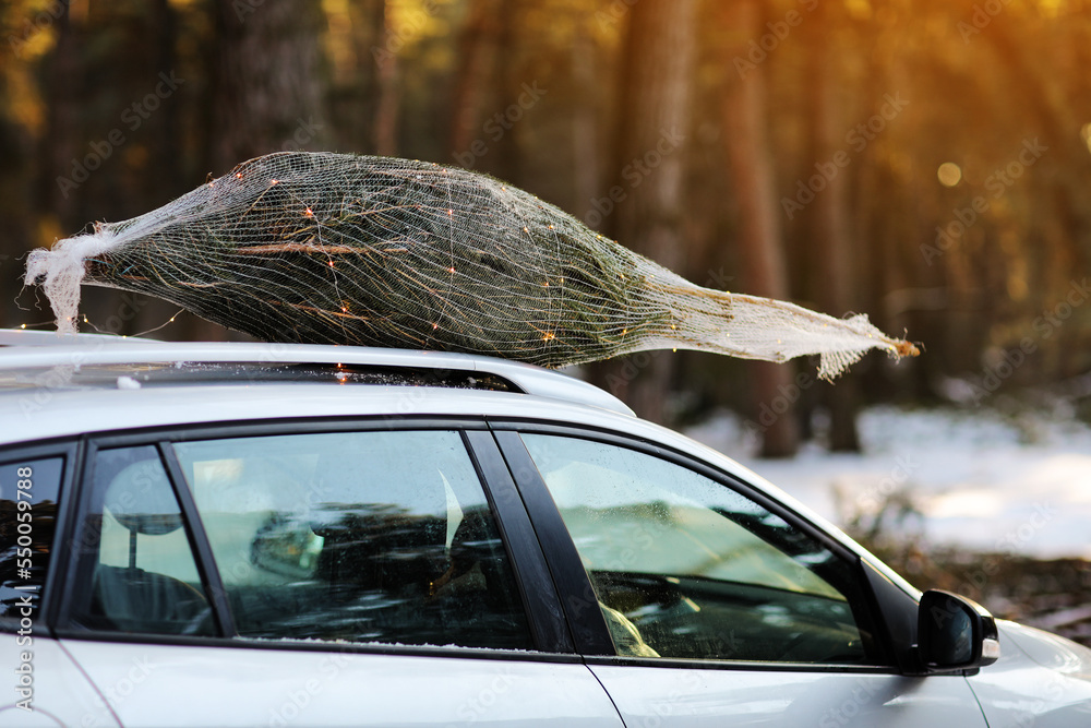 Christmas tree with garlands tied on a roof car in the snowy forest ...