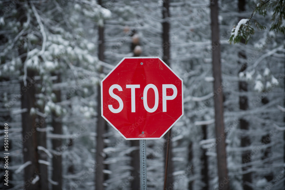 Stop sign against forest in winter Stock Photo | Adobe Stock