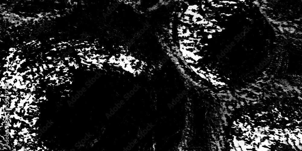 Lactic Bacterium. White Cancer Antigen. Monochrome Macro Bacteria ...