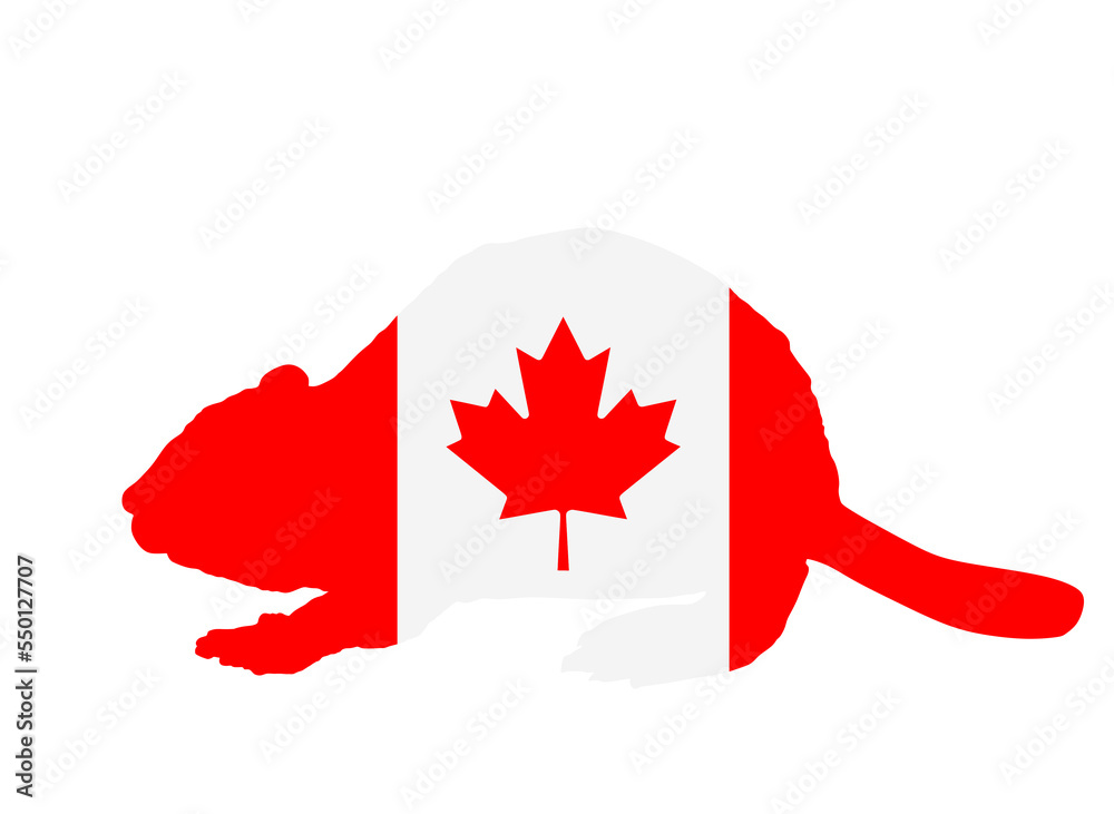 Canada flag over beaver vector silhouette illustration isolated on ...