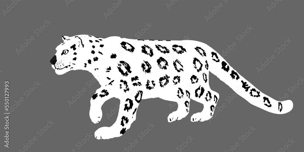 Snow leopard vector illustration isolated on background. Wild cat in ...