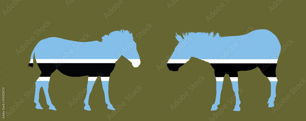 Botswana flag over zebra vector silhouette illustration isolated on ...