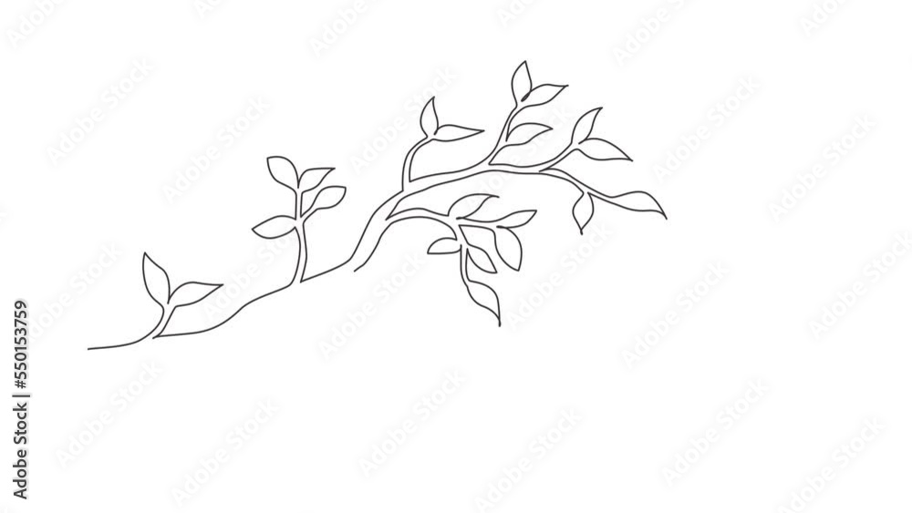 Animated self drawing of continuous line draw leaf hanging from tree ...