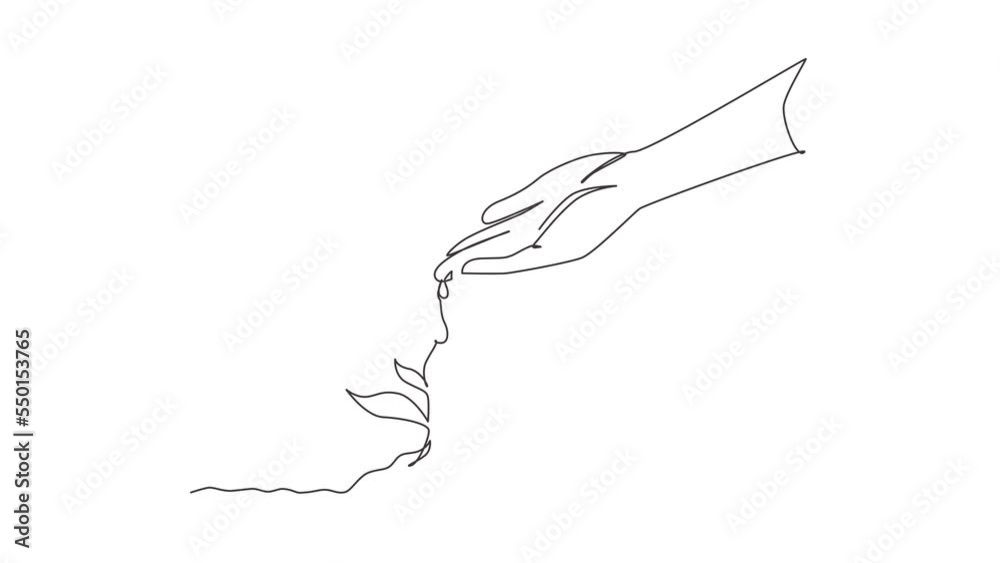 Self drawing animation of single line draw hand nurturing and watering ...