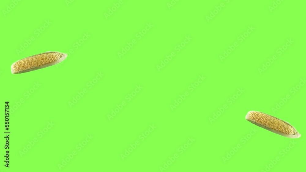Corn, cereals, crop, food, plant. Chroma key stock footage. Decor ...