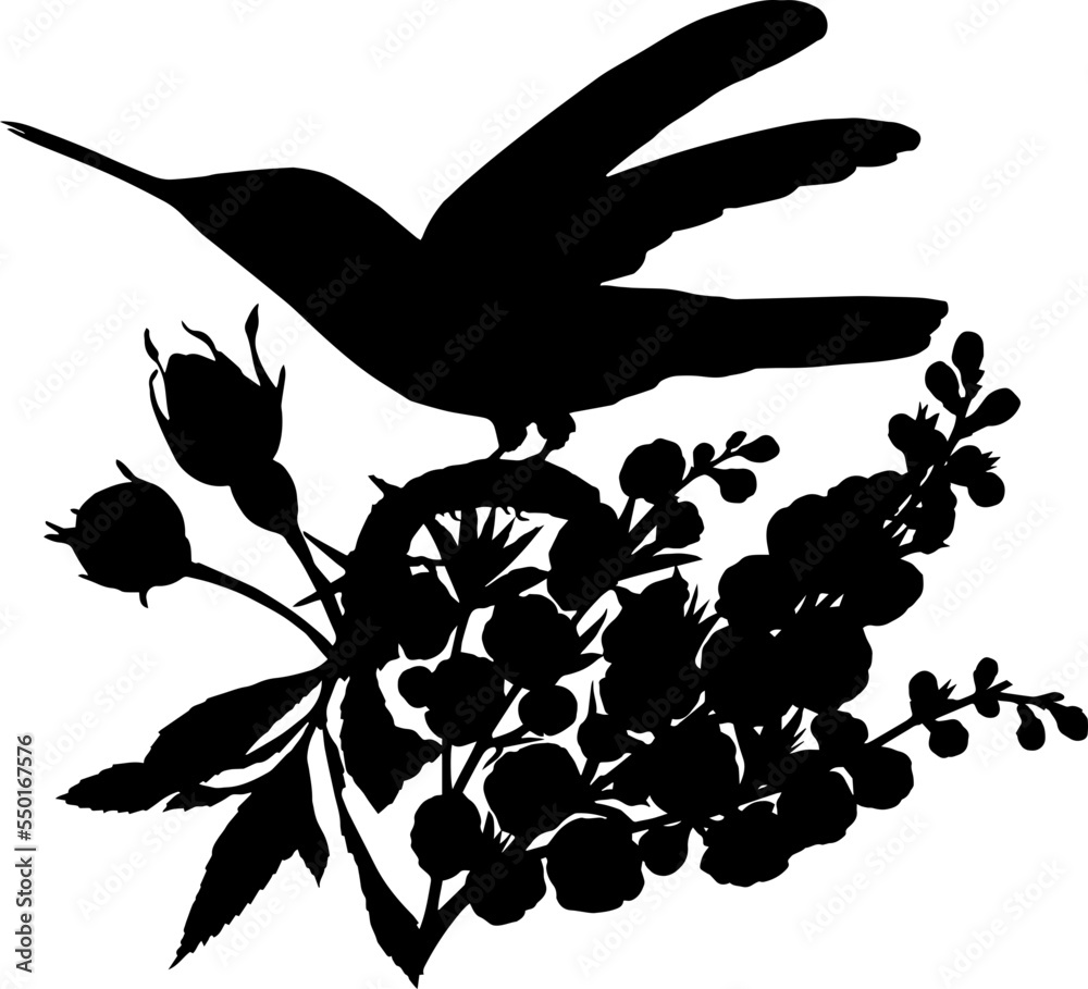 Hummingbird Flower Silhouette