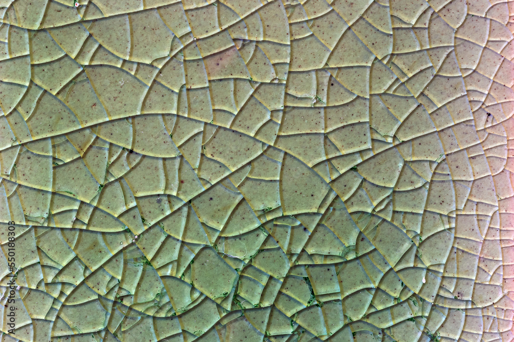 Close up to background and texture of stretch marks cracked on emerald ...