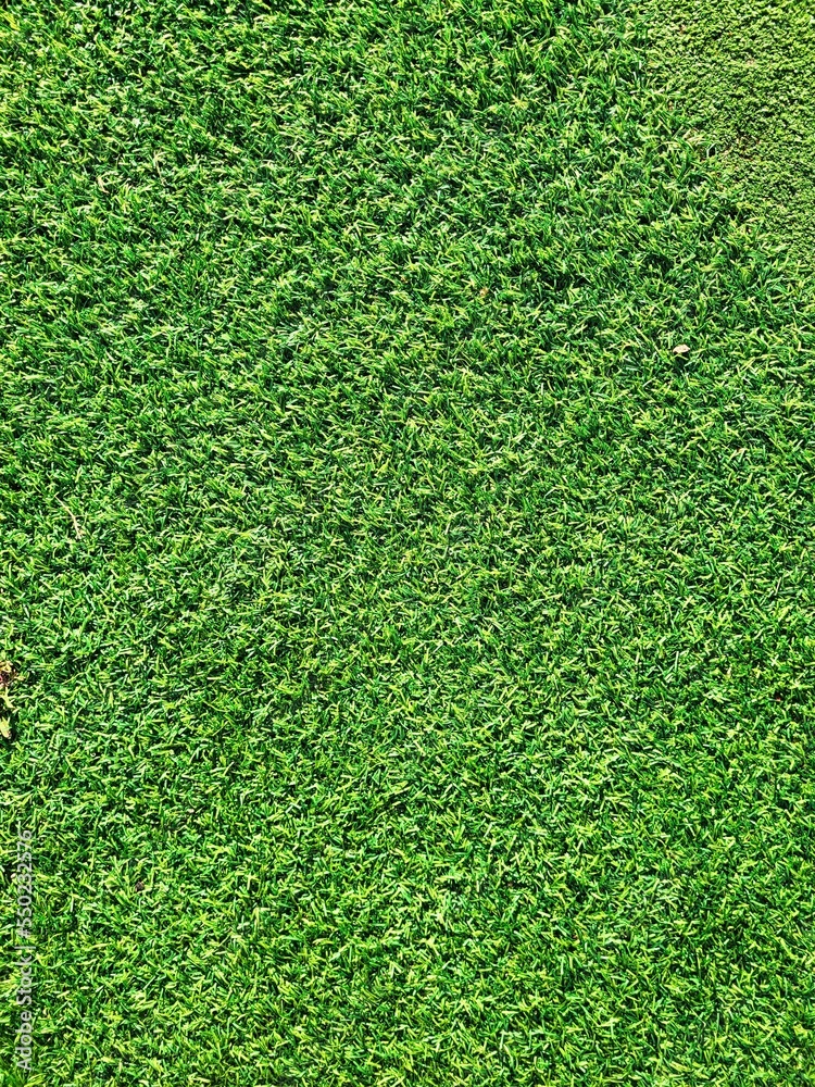Green weed grass. Artificial green grass photo for your graphic ...