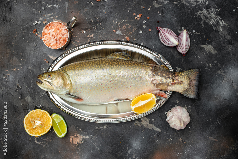 Raw arctic char fish. Culinary, cooking, bakery concept. Restaurant ...