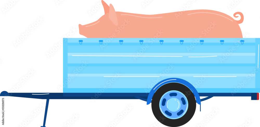 Vehicle trailer transport at wheel, farm truck with pig, isolated on ...