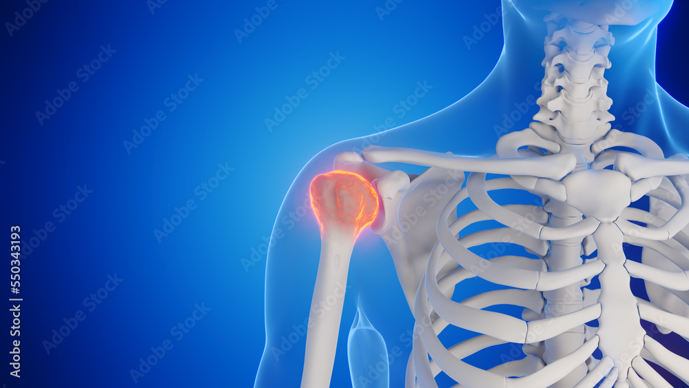 3d rendered medical illustration of a man's shoulder joint Stock ...