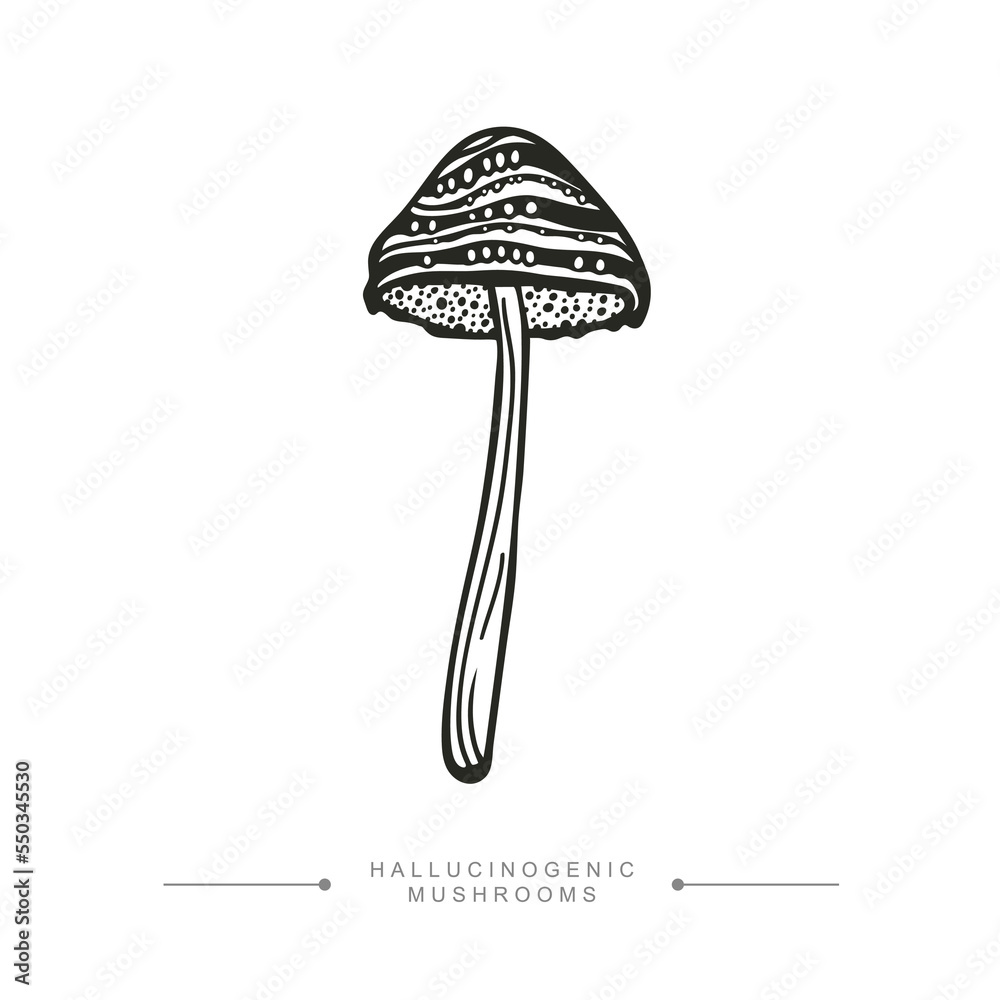 Black and white drawing of a hallucinogenic mushroom. A stylized image ...