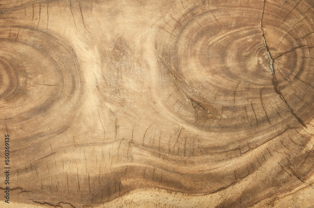 Wood texture seamless, Texture natural wooden, High resolution Stock ...