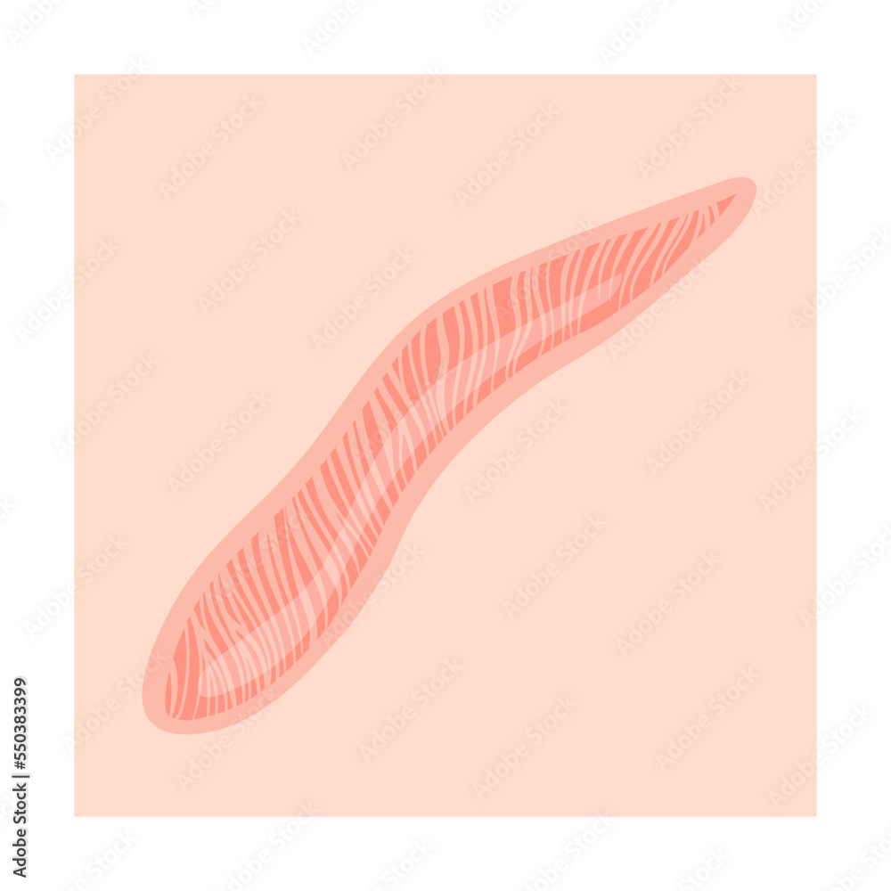 Skin burn blister cartoon illustration. Bloody wound, injures ...