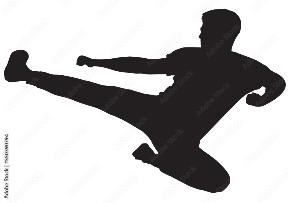 Silhouette Flying Side Kick Stock Vector | Adobe Stock